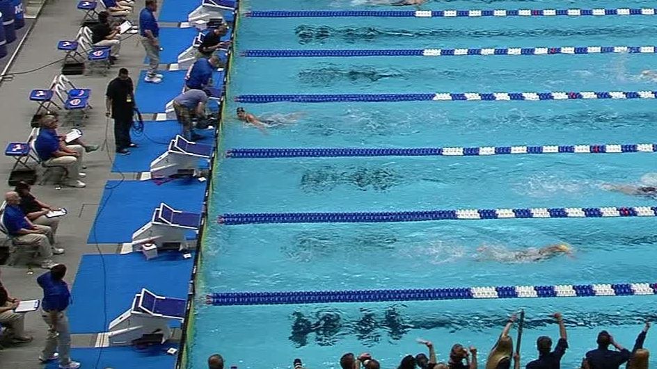 Stanford women dominate the field to take the NCAA swimming and diving ...