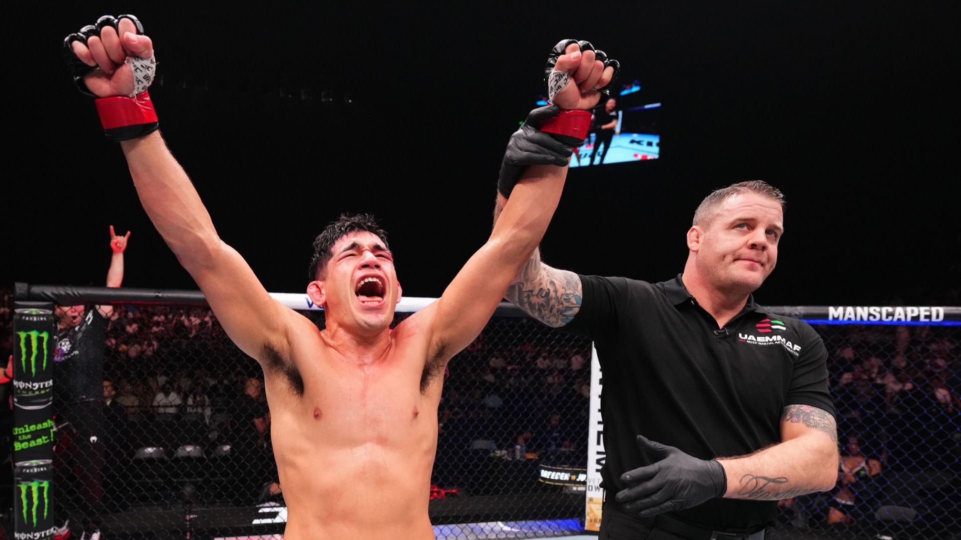 Mike Breeden throws beautiful combo for KO vs. Anshul Jubli - ESPN Video