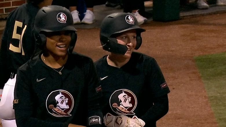 Florida tick identification chart - isseday