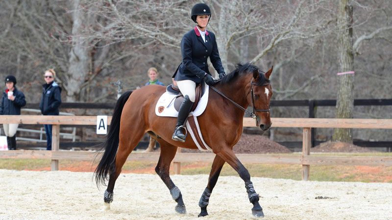 All Four SEC Equestrian Teams Qualify For NCEA Championship