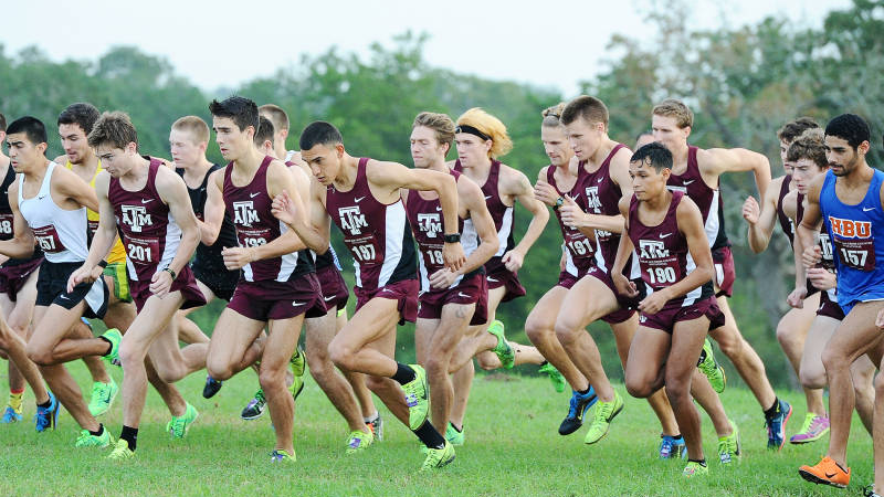 SEC Cross Country Weekly Notebook