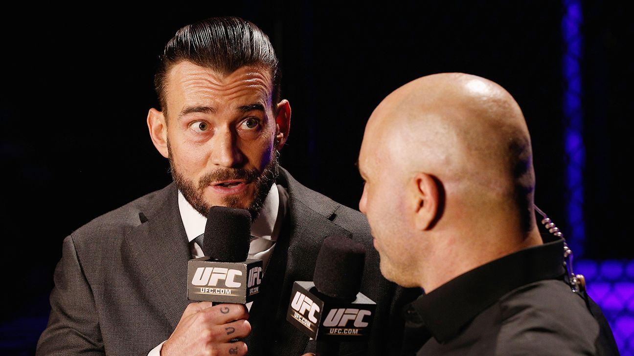 CM Punk joins UFC, will fight in 2015 - ESPN