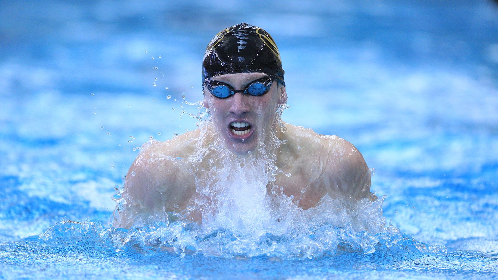 Swimming and Diving Athletes of the Week