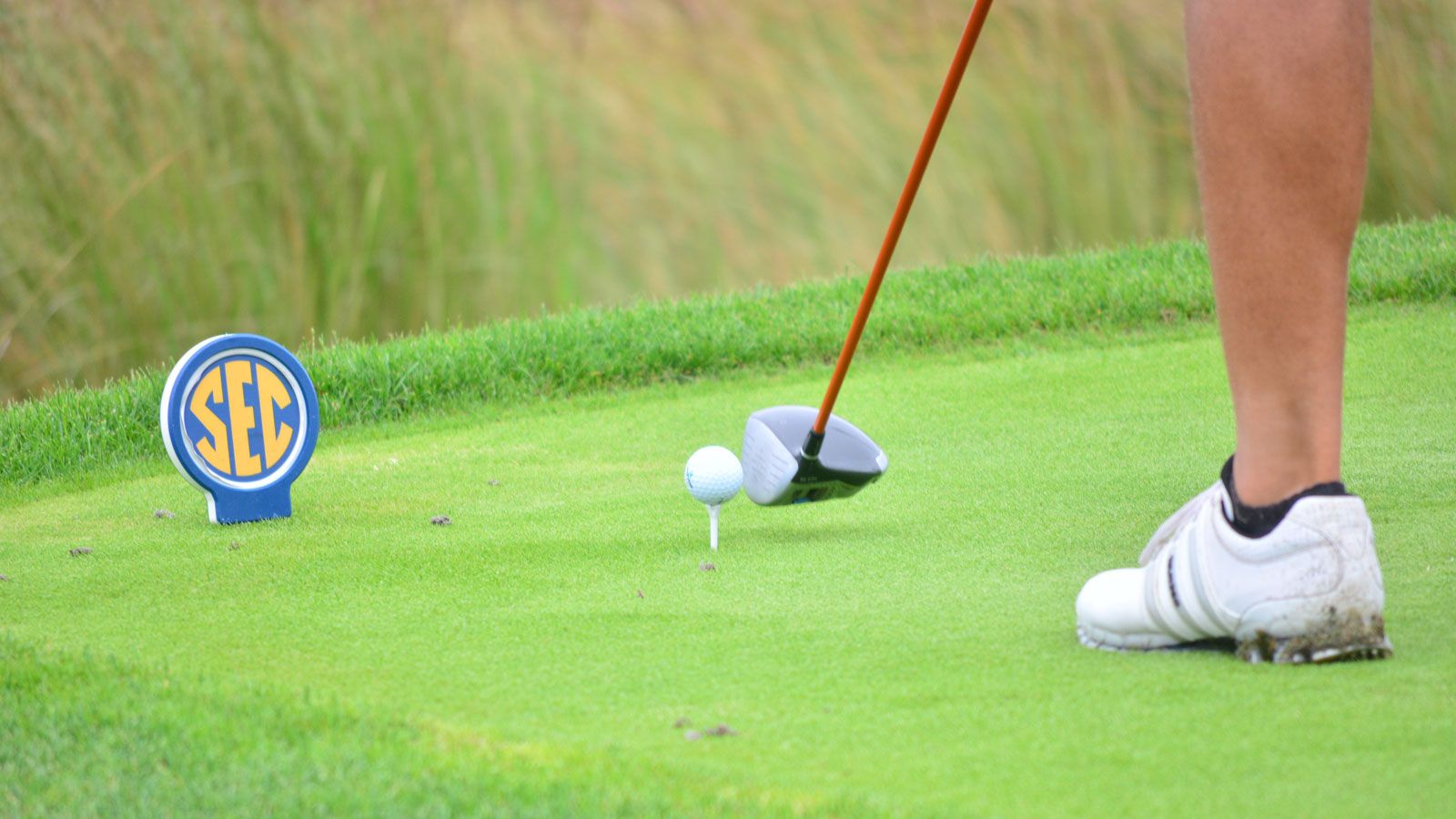 All 14 SEC teams earn NCAA Men's Golf Championship bids