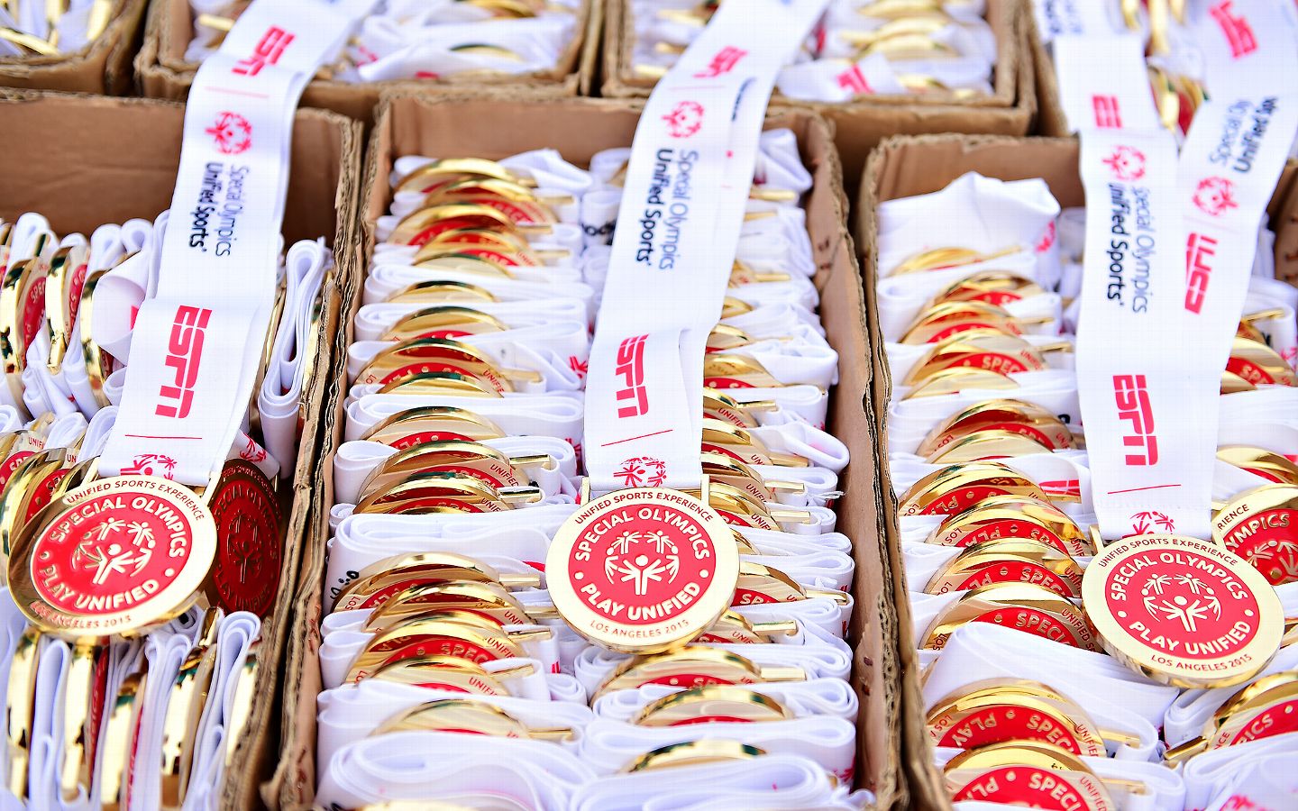 Jayson Warsuma's Instagram, Twitter & Facebook on IDCrawl