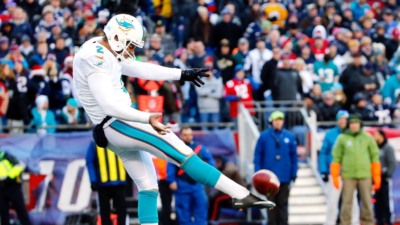 Brandon Fields released by Miami Dolphins - ESPN