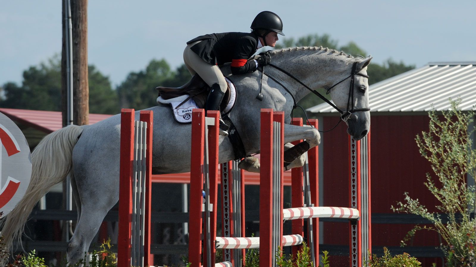 Georgia tops A&M in season opener