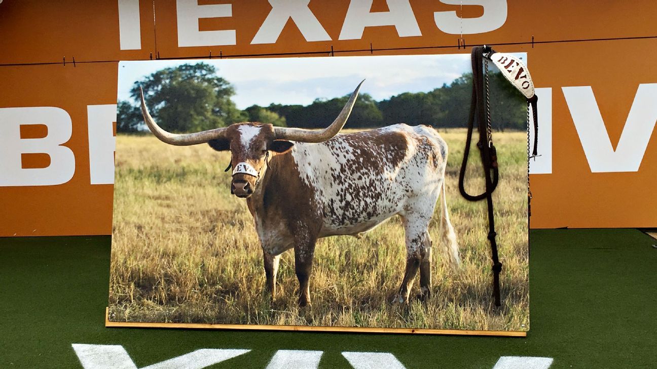 Texas Longhorns pay tribute to Bevo XIV in first home game since death ...