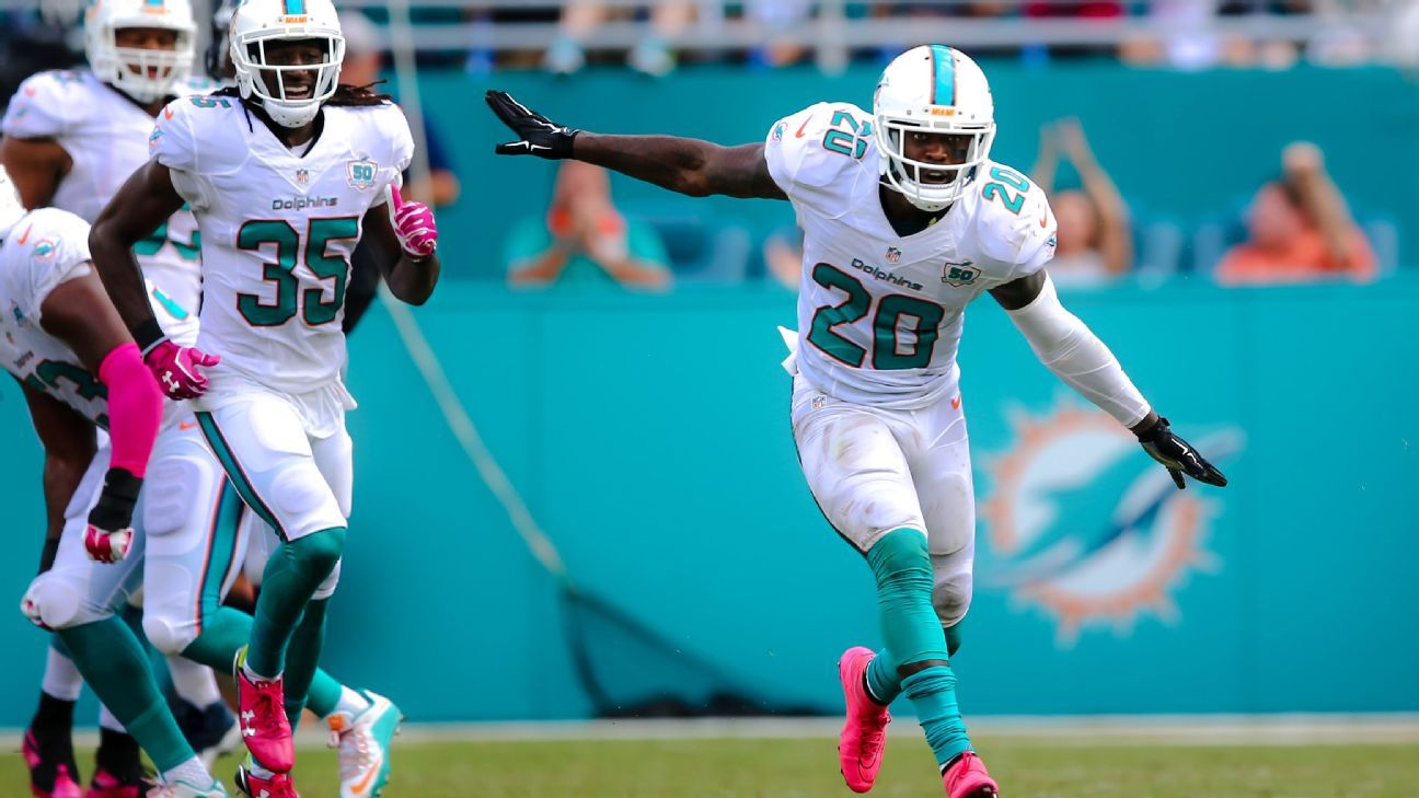 Dolphins' Mike Pouncey calls Reshad Jones 'the best safety in the NFL ...