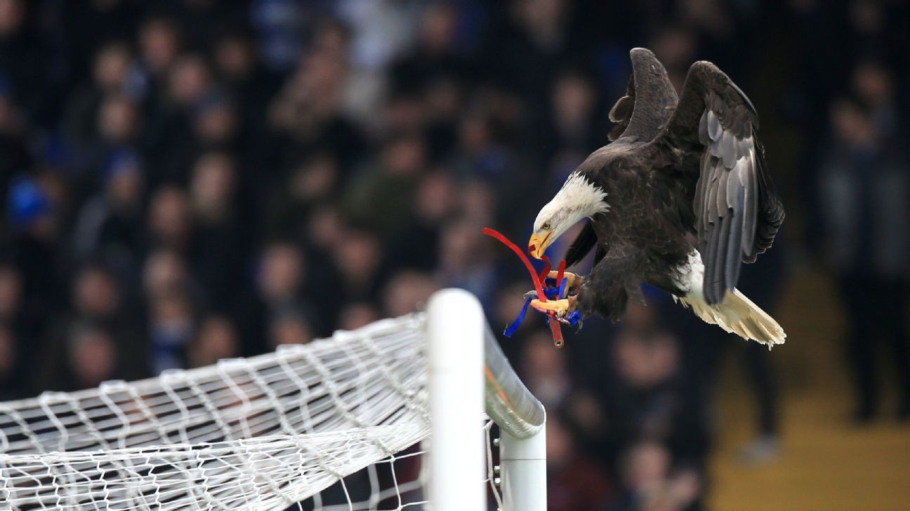 Charlton fan tried to punch Crystal Palace eagle mascot court told - ESPN