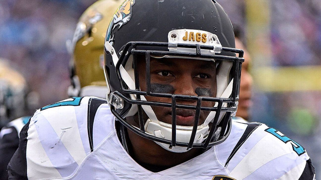 Jacksonville Jaguars' undrafted rookies made sporadic plays in 2015 ...