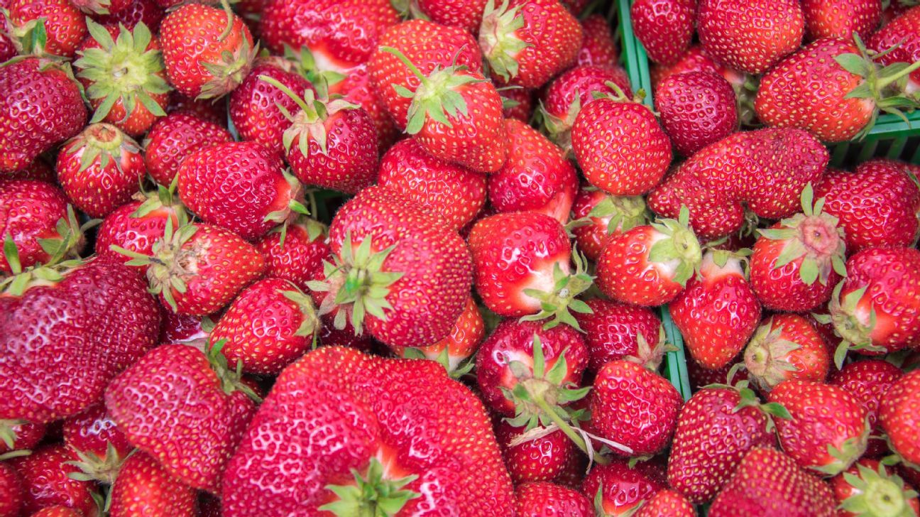 Spanish side CD Pinzon unveil new strawberry and blueberry kits - ESPN