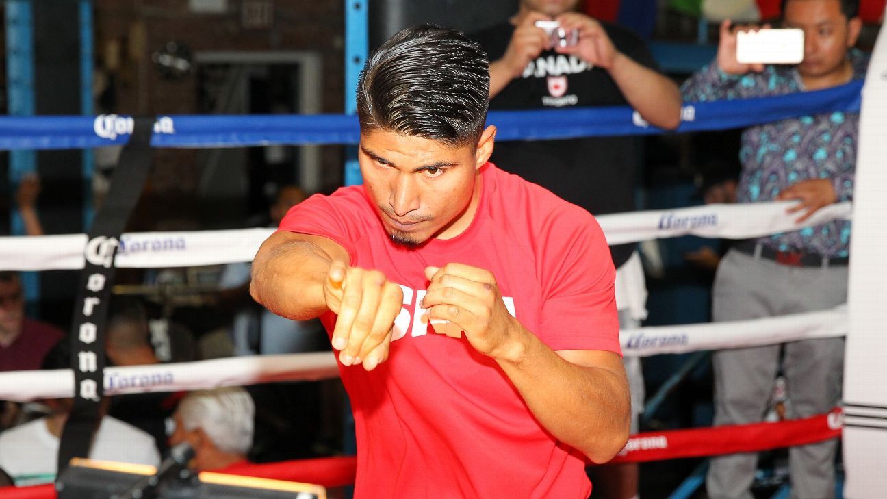 Mikey Garcia wants Linares-Crolla II winner for unification fight ...