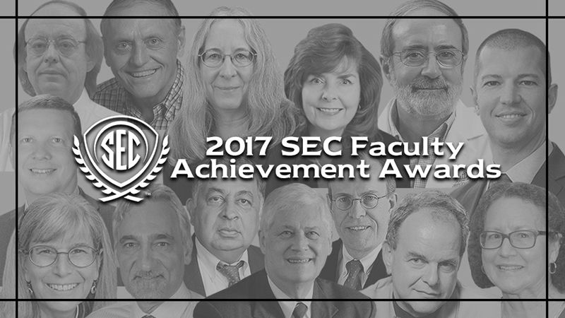 2017 SEC Faculty Achievement Awards announced
