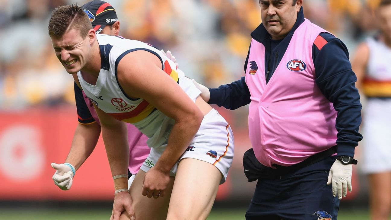 Adelaide Crows forward Josh Jenkins clear of serious injury - ESPN