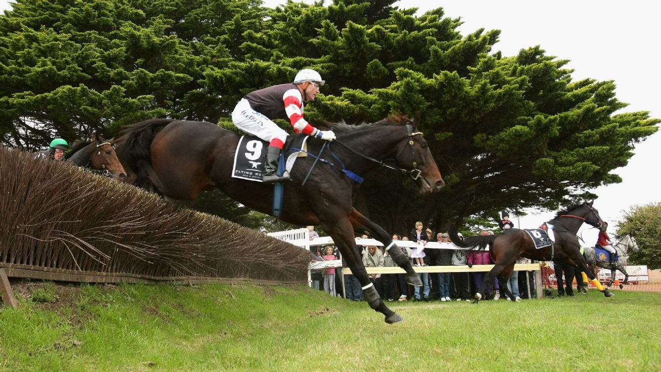 Warrnambool Grand Annual Steeplechase Horse welfare now 'front of mind ...