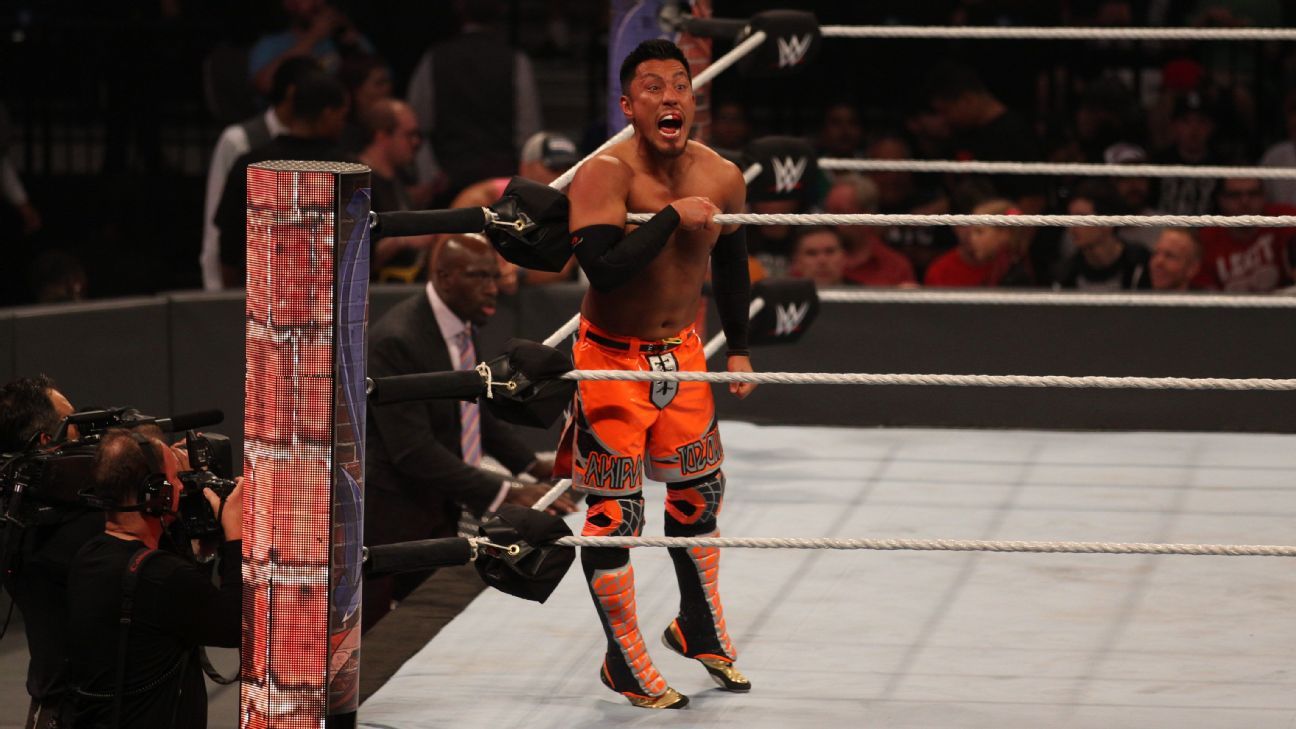 WWE Profile - Akira Tozawa - ESPN