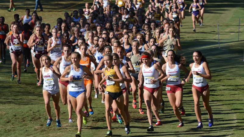 SEC teams set for NCAA Cross Country Championships