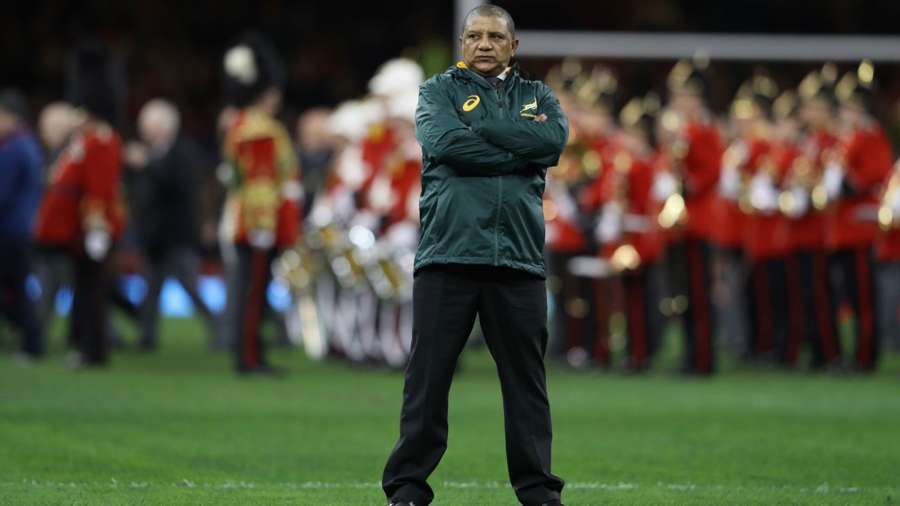 Rugby South Africa vice captain Siya Kolisi insists Springboks have ...