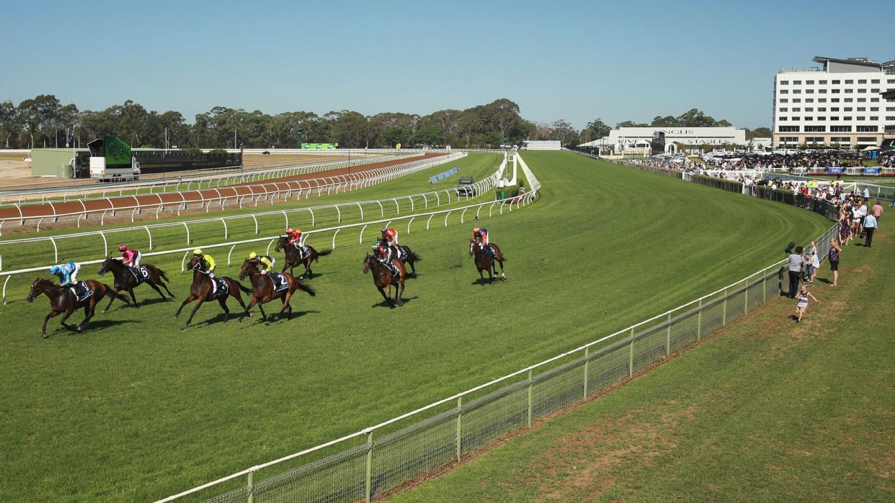 TAB weekend racing preview It could pay to remain faithful to Semper ...