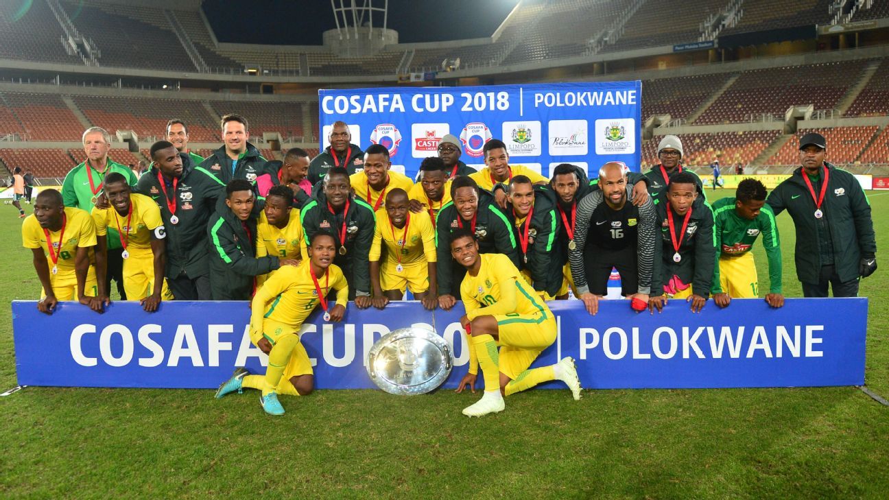 World Cup South African national football team Bafana Bafana fall - ESPN