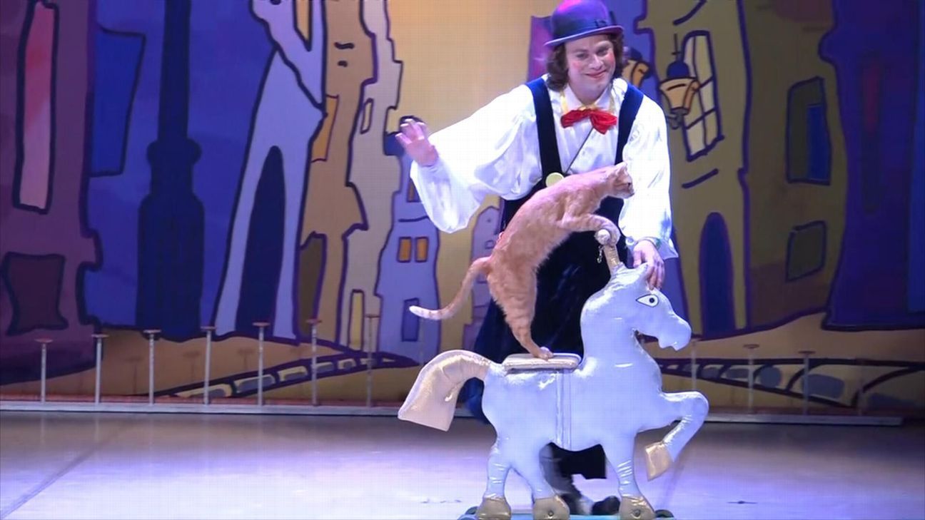 When the World Cup takes a day off why not visit Moscow Cat Theater - ESPN