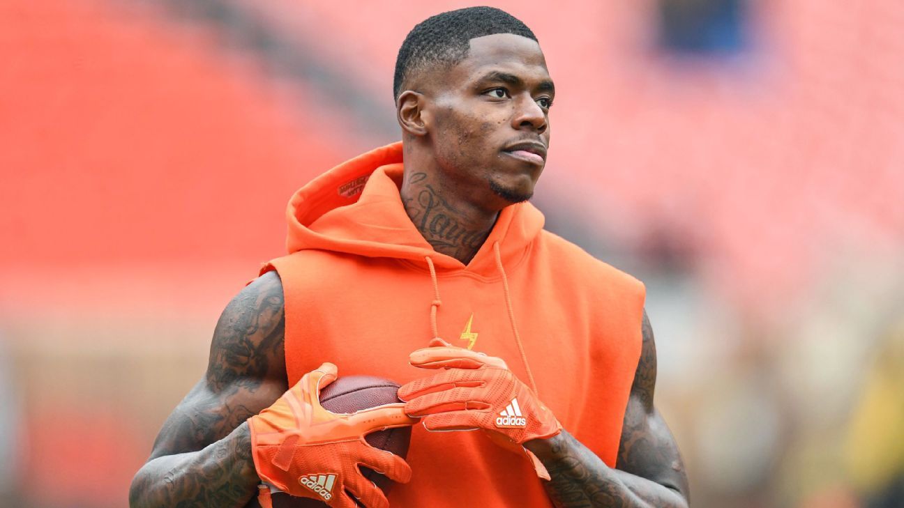 Limited risk for Patriots in acquiring talented Josh Gordon - ESPN ...