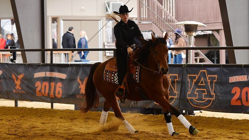 SEC Equestrian Riders of the Month