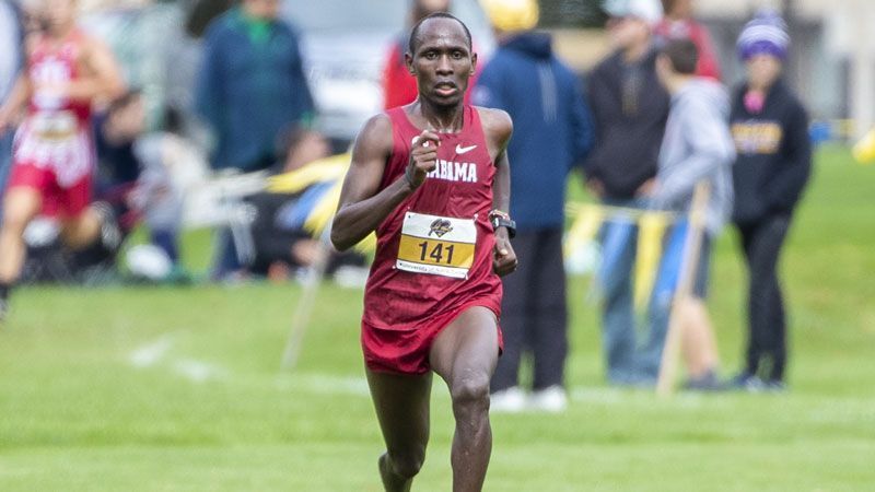 Week 4: Cross Country Athletes of the Week