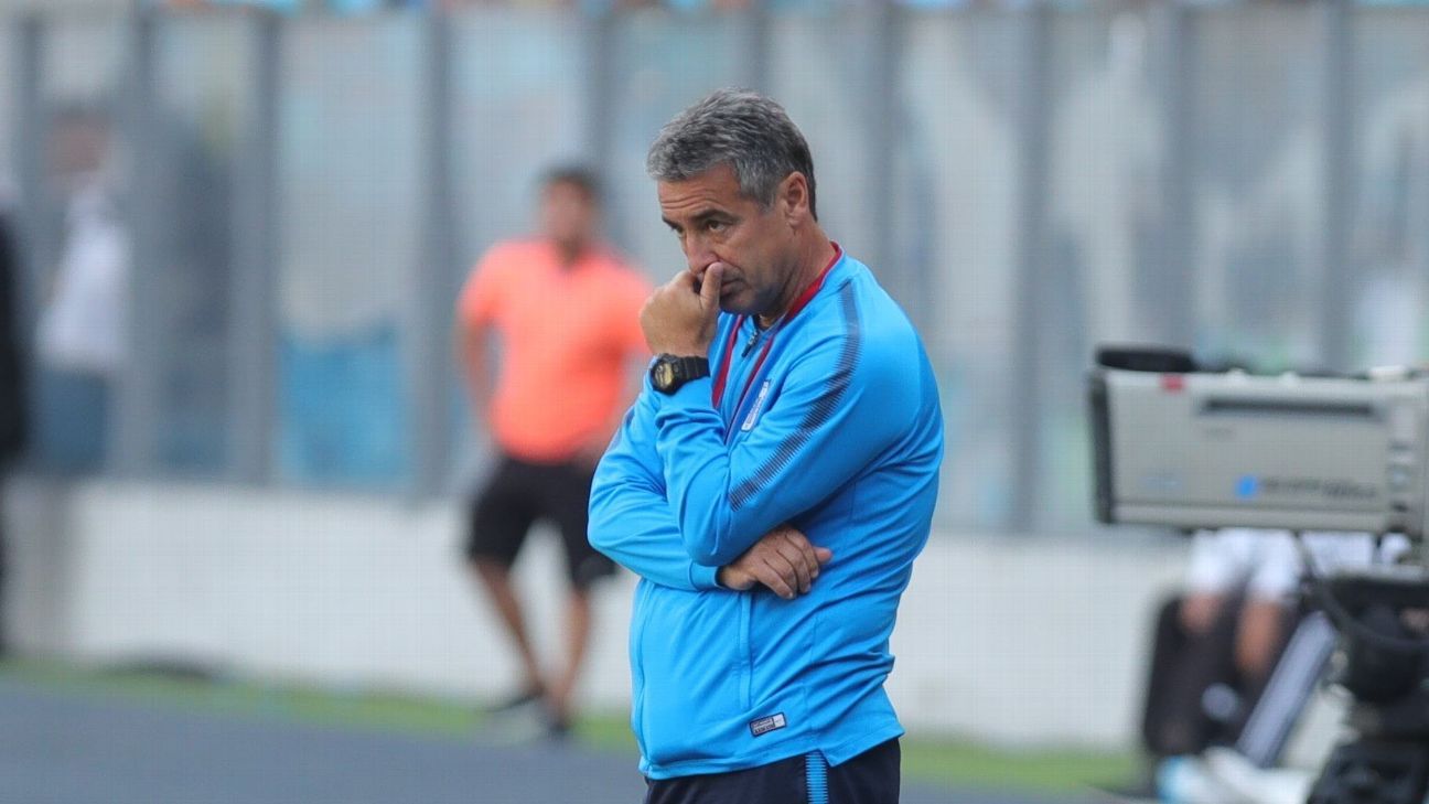 Pablo Bengoechea: "Estamos satisfechos con los refuerzos que llegaron ...