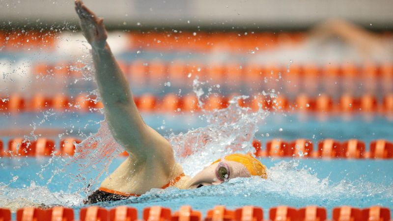 Swim & Dive Athletes of the Week