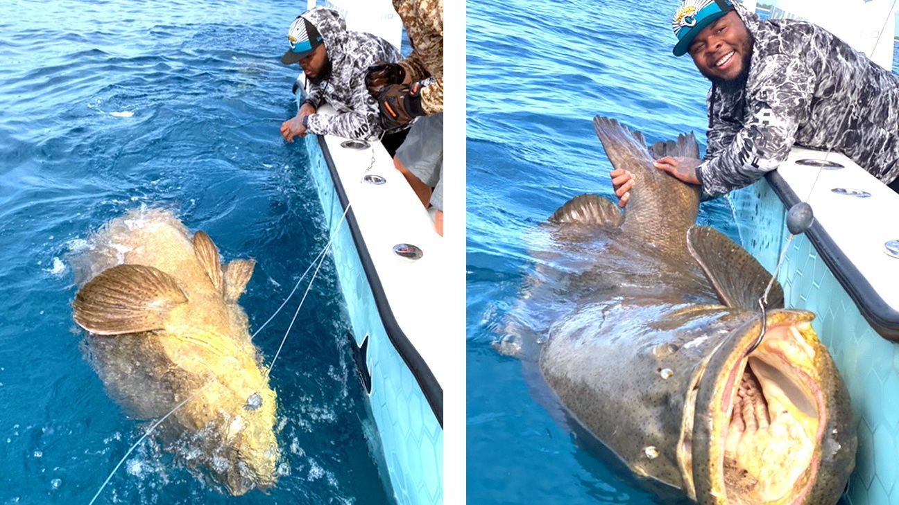 Jaguars OT Jawaan Taylor hooks fish that's bigger than him - ESPN ...