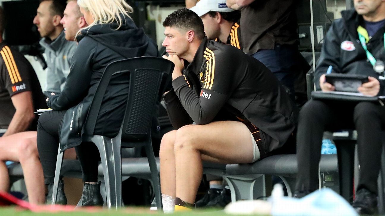 Hawthorn Hawks forward Jonathon Patton announces AFL retirement - ESPN