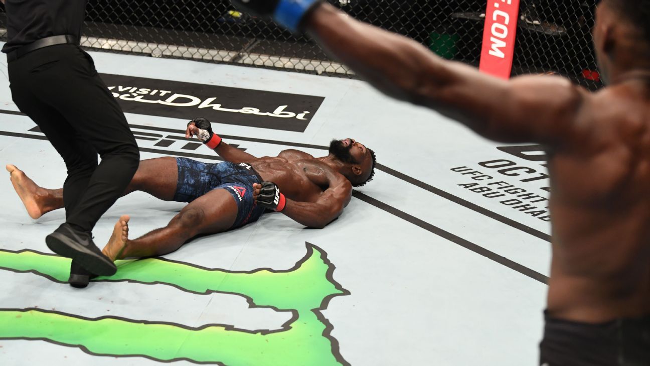 Americano deixa mundo do UFC perplexo com chute absurdo: 'O nocaute ...