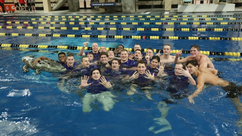 Florida Wins SEC Men's Swimming & Diving Championship
