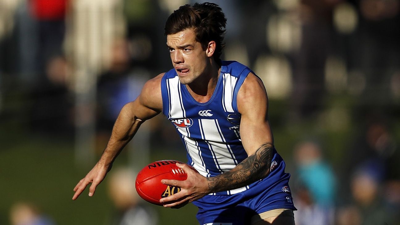 AFL Jy Simpkin takes out North Melbourne's best and fairest Syd Barker ...