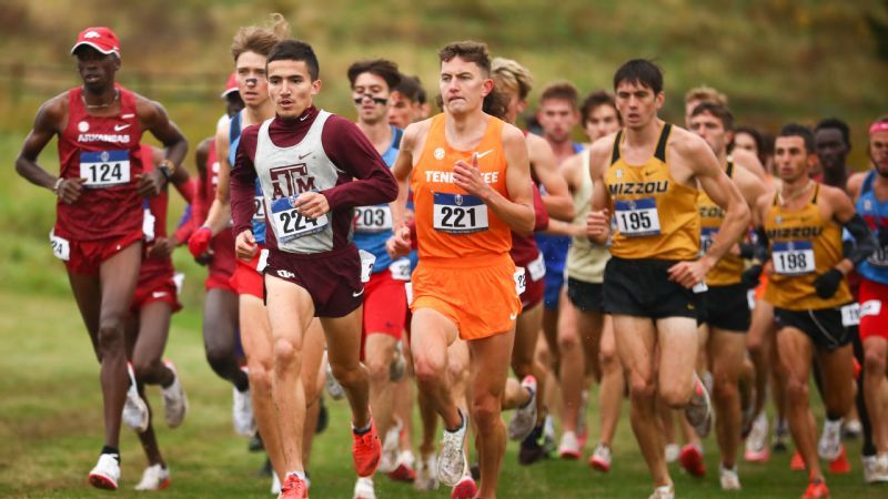 SEC cross country teams prepare for NCAA Regionals
