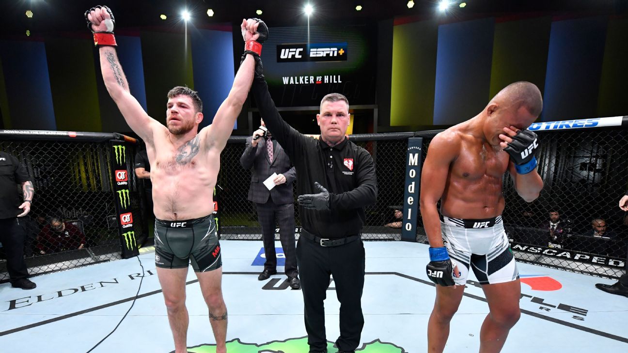 UFC Vegas 48: brasileiro é surpreendido por direita 'sinistra' de ...