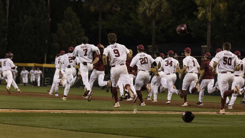 Gamecocks take first game of series with walk-off hit