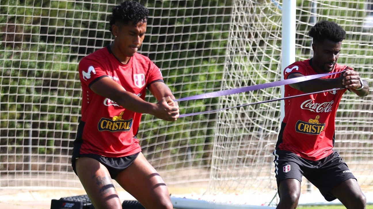 ¿Cuál es la situación de Renato Tapia en Perú de cara al repechaje ...