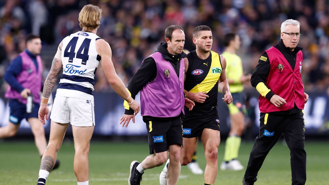 AFL Tribunal bans Stewart for four games - ESPN