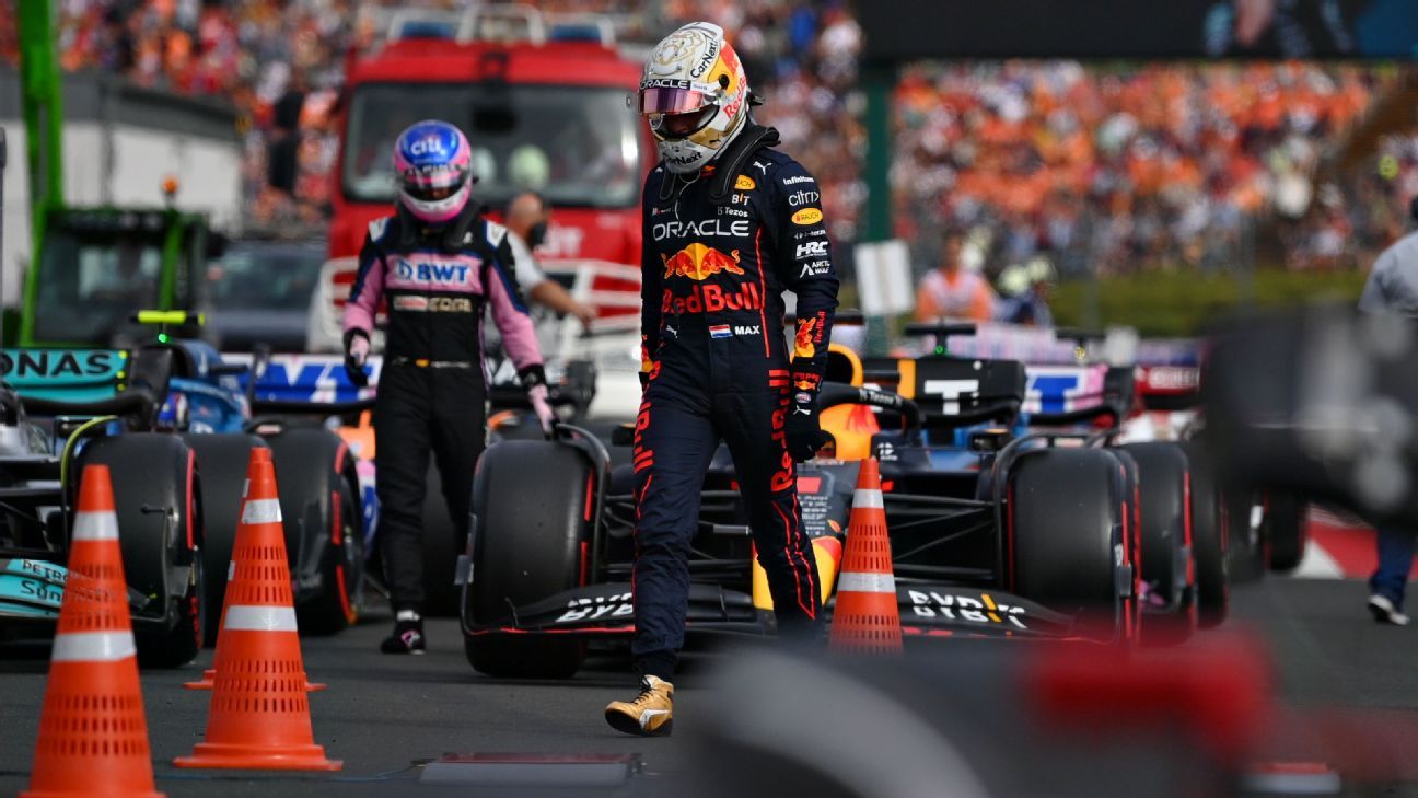 Max Verstappen says power unit issue was 'painful' in Hungary ...