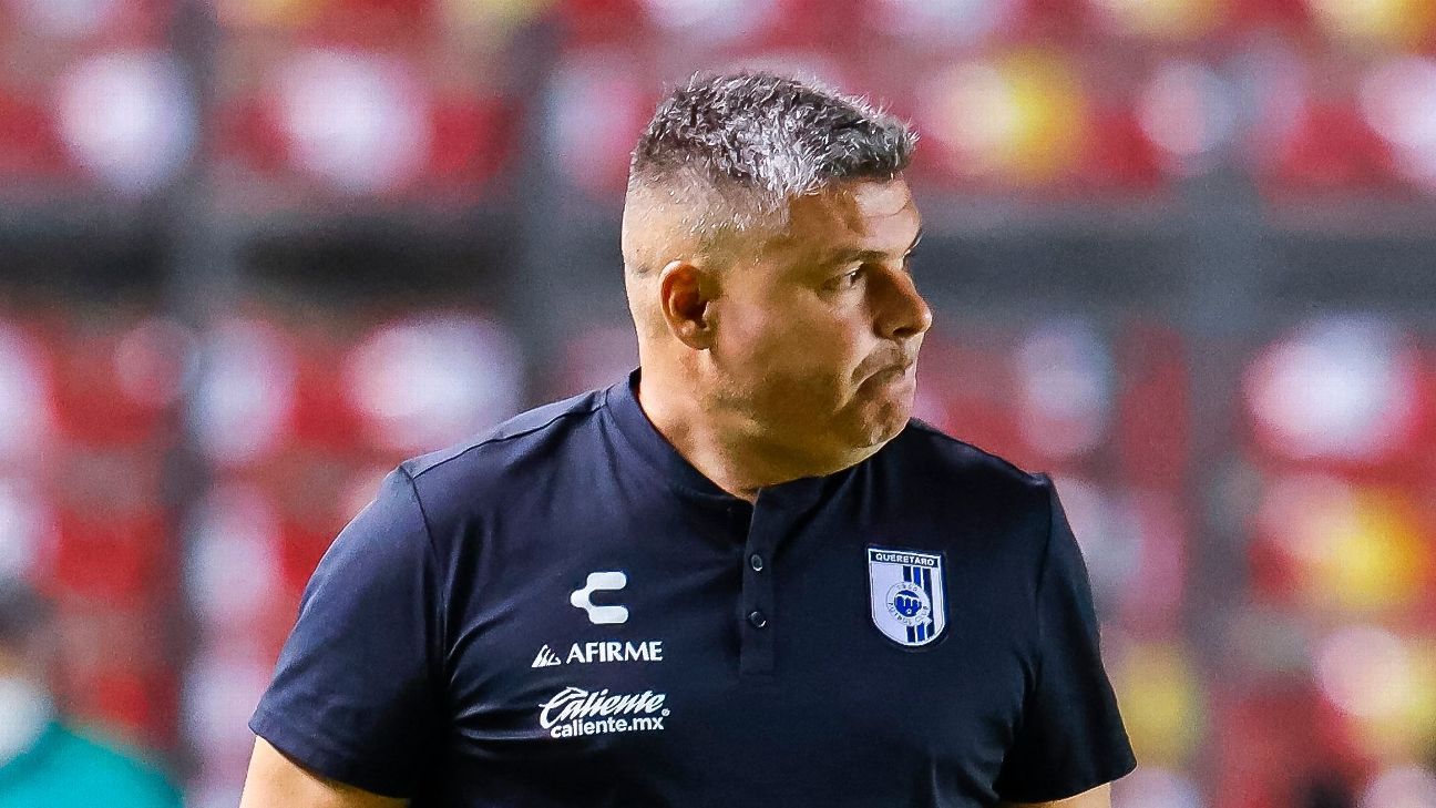 Mauro Gerk desea que se revise la posibilidad de "achicar la sanción ...