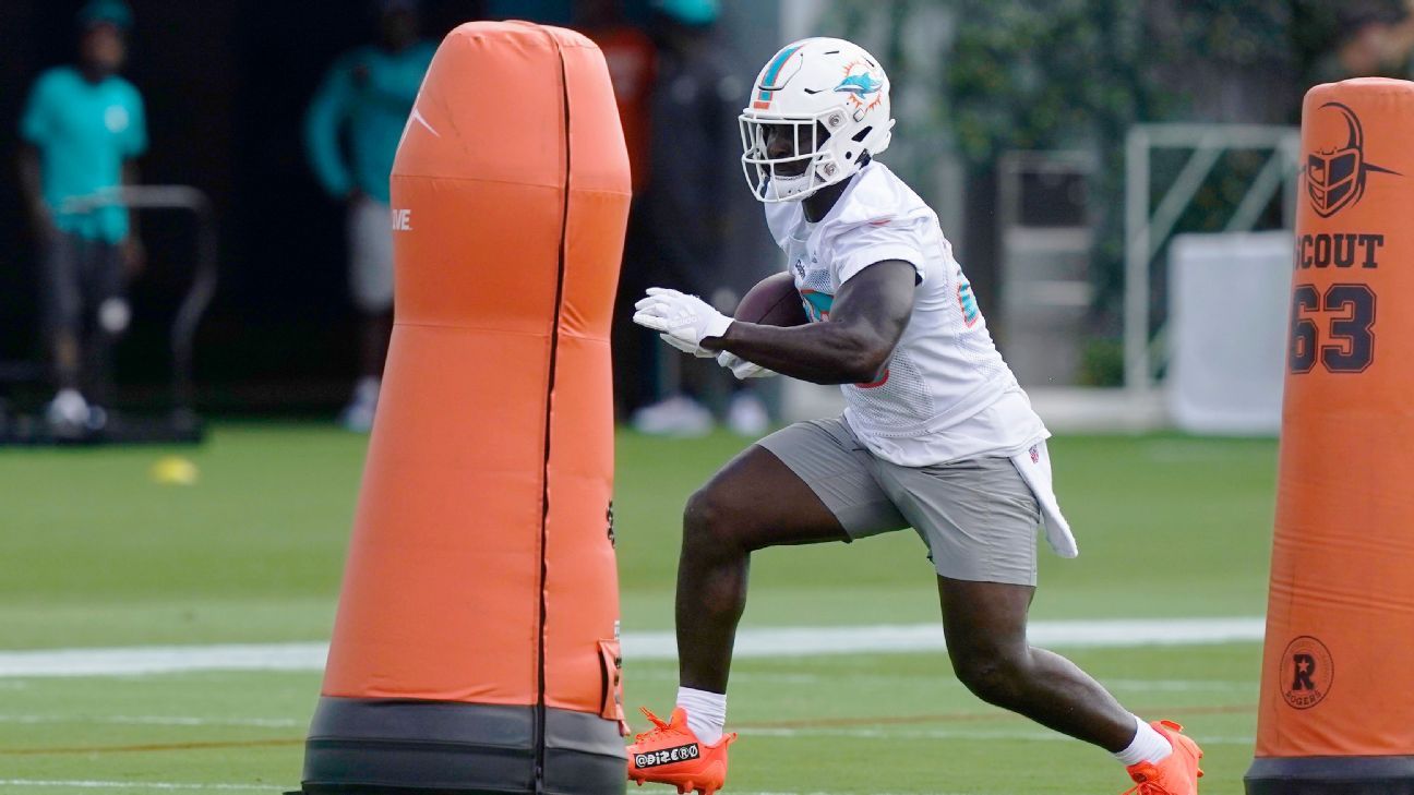 Miami Dolphins cortan al corredor veterano Sony Michel - ESPN