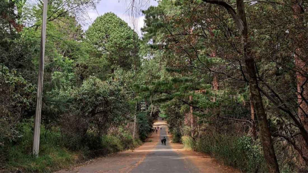 Lugares para correr en México - Parque Nacional Bosque de Tlalpan - ESPN