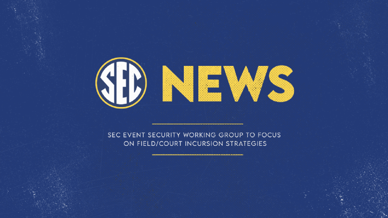 Working group to focus on spectator incursion strategy