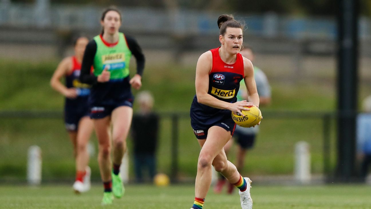 Demons' old hands steering AFLW flag bid - ESPN