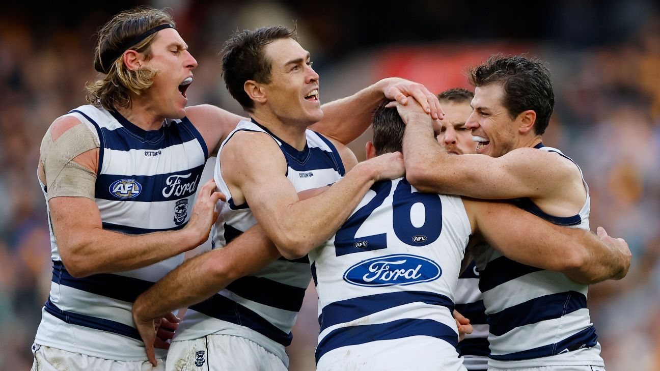 Geelong on the board, flex muscles in Hawks hammering - ESPN