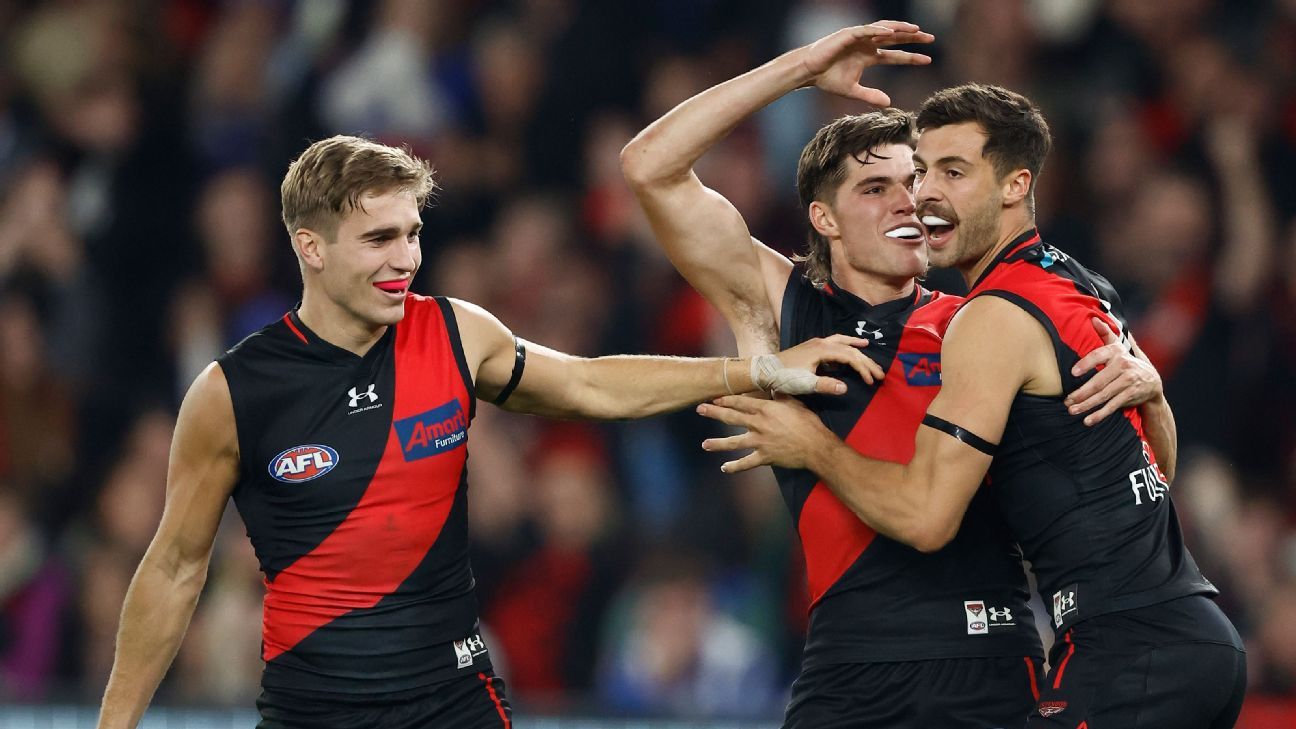 AFL Round 12 Bombers win thriller over gutsy North Melbourne - ESPN