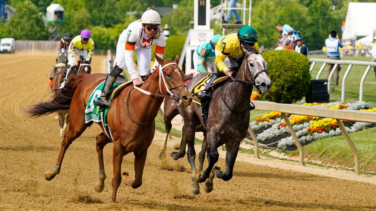 Maple Leaf Mel euthanized after collapsing in Test at Saratoga - ESPN